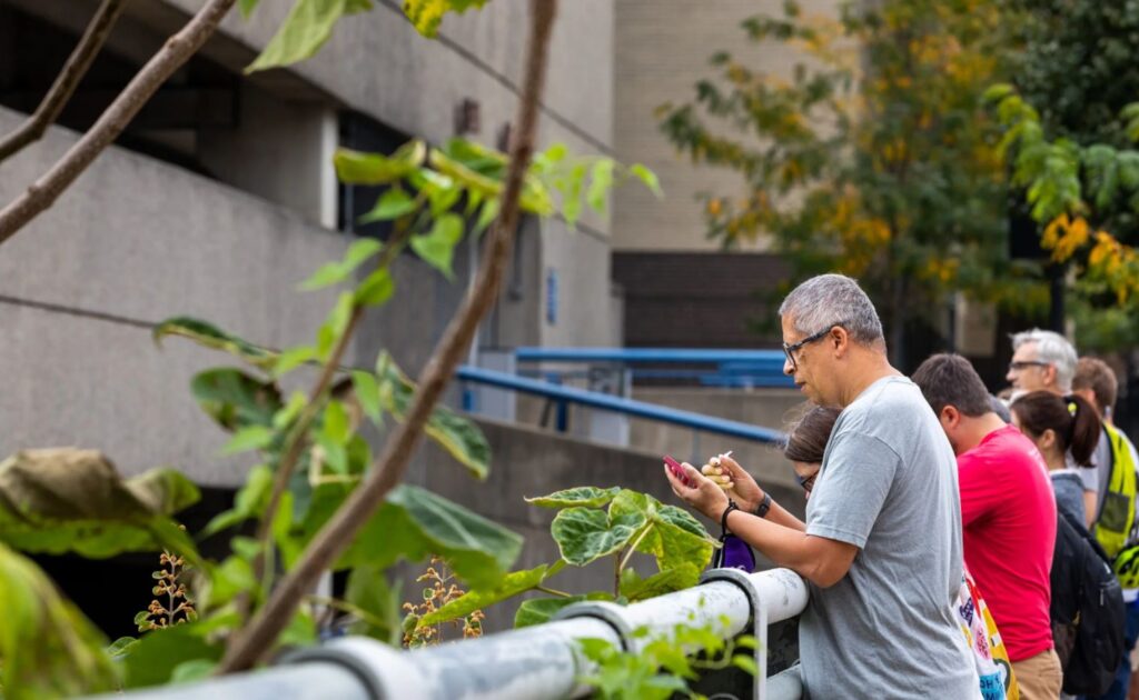 Knight Foundation awards $4 Million to 8 Smart Cities Organizations ...
